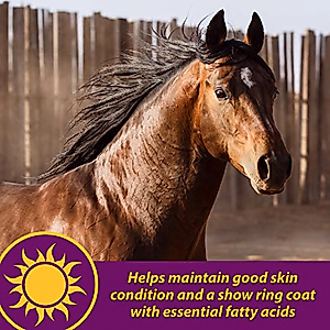 Horse Health Joint Combo Hoof & Coat, Convenient 3-in-1 horse joint supplement provides complete joint, hoof and coat care, 3.75 lbs., 30 day supply
