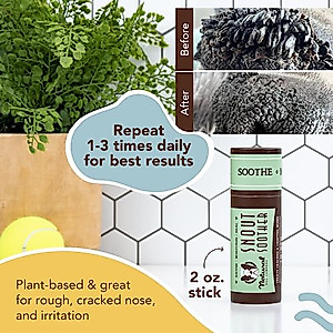 Natural Dog Company Snout Soother Dog Nose Balm, 2 oz. Stick, Dog Balm for Paws and Nose, Moisturizes & Soothes Dry Cracked Noses, Plant Based Nose Cream for Dogs