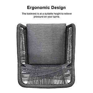 PURPLE LEAF 2 Pieces Outdoor Patio Dining Chairs All-Weather PE Rattan Patio Furniture with All Aluminum Frame for Lawn Garden Backyard Deck, Grey