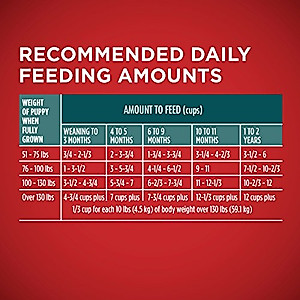 Purina ONE Plus Large Breed Puppy Food Dry Formula - 16.5 lb. Bag