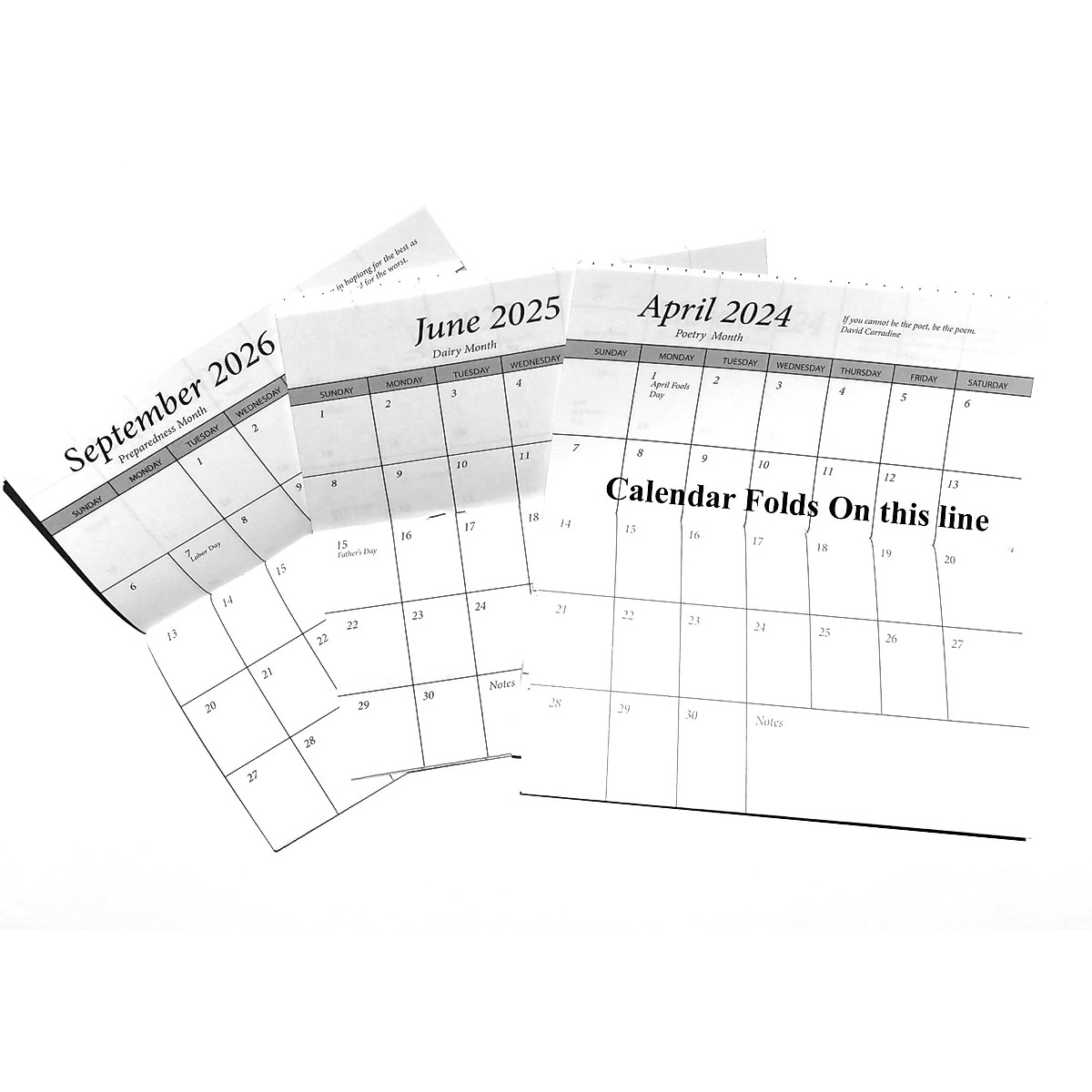 3 Year 2024 2025 2026 Bling Glitter Pocket Calendar Planner with Note Pad (Dolphin 3)