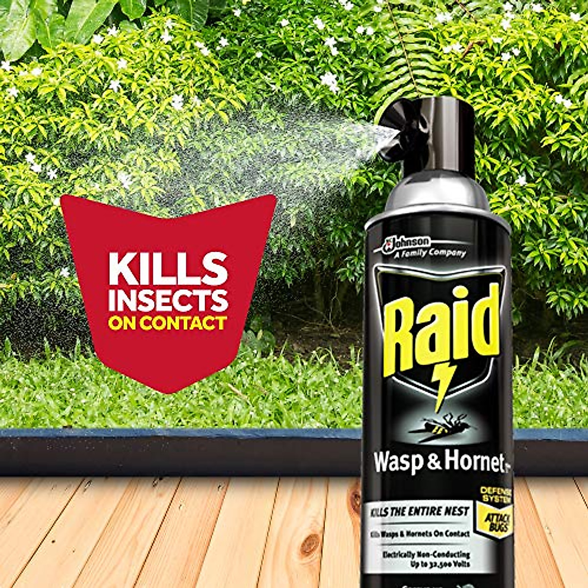 Raid Wasp and Hornet Killer Spray, Kills the entire nest, Kills Paper Wasps, Yellow Jackets, Mud Daubers and more, 14 oz