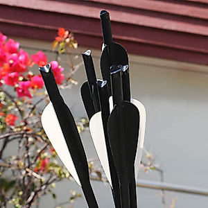 EROCK Carbon Crossbow Bolts Hunting Archery 17inch Carbon Archery Targeting Arrows for Crossbow Training/Hunting Target, 12pcs with Replaceable Arrowhead&Frosted Shaft