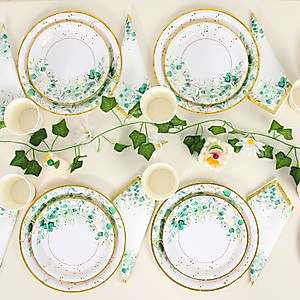 Sage Green Paper Plates and Napkins, Green Party Plates Supplies, Disposable Tableware Paper Plates, Cups, Napkins for Boy Baby Shower, Jungle Safari Boho Party Supplies,Bridal Shower,Serves 24