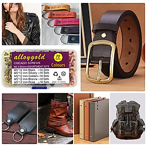 Alloygold 70 Sets Chicago Screw 1/2 inches Kit 5 Color Leather Rivets Screw Rivets Chicago Screw Buttons DIY Leather Trim Black Silver Gold Copper Rose Gold （M5*12）