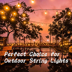 ADIIL 20 PCS Q Hanger Hooks with Safety Buckle, Windproof Screw Hooks for Hanging Outdoor String Lights, Plants, Christmas Patio Lights, 2.2 Inches, Black