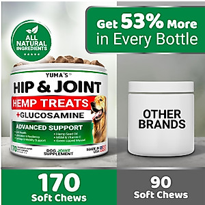 YUMA'S Hemp Hip and Joint Supplement for Dogs - Glucosamine for Dogs - 170 Dog Joint Pain Relief Chews - Chondroitin, MSM - Hemp Oil - Advanced Dog Joint Supplement Health - Mobility Support Treats