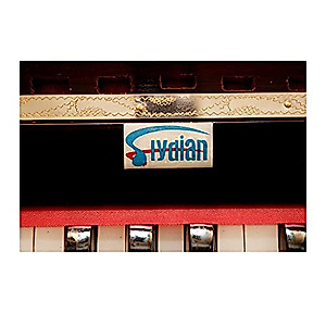 Non Scale Changer Harmonium LYDNSC-1 Concert Folding Auto Push Mohonlal Delux Double Reed 9Stopper 3 1/2 Octaves Burma Teak Wood Brass Work 7 Part Blow With Padding Bag buy only from LYDIAN