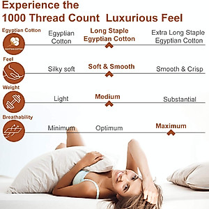 Marina Shades 100% Egyptian Cotton California King 3 Pc Solid Duvet Cover Set with Pillowcases 1000 Thread Count Super Soft Breathable Fade Resistant Anti-Pilling Hotel Class Luxury Bedding (White)