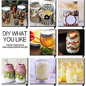 Hovico Mason Jars 17 oz With Regular Lids and Bands, Ideal for Jam,Dishwasher Safe Mason Jar for Fermenting, Kombucha, Kefir, Storing and Canning Uses, Clear- Set of 6