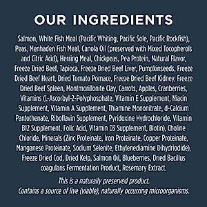 Instinct Raw Boost Grain Free Recipe with Real Salmon Natural Dry Dog Food by Nature's Variety, 4 lb. Bag