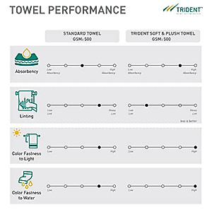 TRIDENT Soft and Plush, 100% Cotton 4 Piece Hand Towels for Bathroom, Highly Absorbent, Hotel Luxury, Super Soft, Salon Towels, Soft Comfort, 500 GSM (Crimson Red)