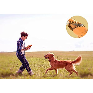 YYXTRADE Shark Chew Toy for Aggressive Chewers, Natural Rubber Dog Toys for Medium Large Breeds, Dental Care Teeth Cleaning, Indestructible Dog Toys