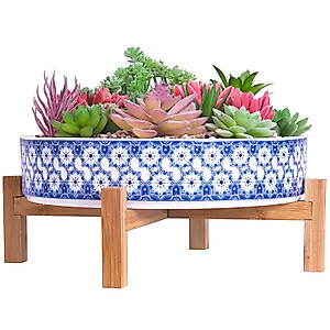 ARTKETTY Succulent Pots, 11 Inch Large Succulent Planters with Drainage Ceramic Bonsai Pot with Bamboo Stand, Shallow Planters for Indoor/Outdoor Plants Modern Floral Cactus Flower Plant Bowl