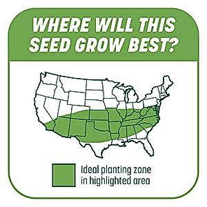 Pennington Smart Patch Tall Fescue Mix 10 lb