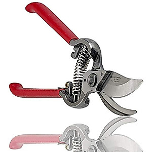Corona BP 3180D Forged Classic Bypass Pruner with 1 Inch Cutting Capacity, 1", Red
