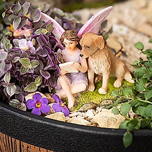 PRETMANNS Fairy Garden Accessories - Fairy Garden Fairies - Fairies for Fairy Garden Outdoor - Garden Fairy Figurines with Animal Friends - Miniature Fairies Garden Kit - 5 Fairy Items