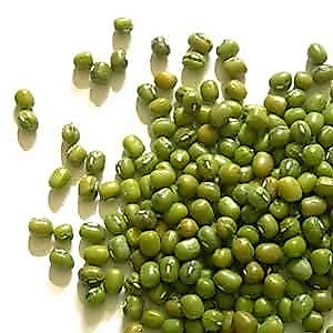 Todd’s Seeds - Mung Bean Sprouting Seed - Mung Bean Seeds - Chinese Green Bean - 1 Pound Bulk Seeds