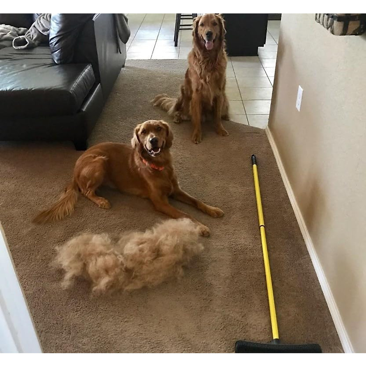 Indigo Pet Hair Remover Broom, Multifunctional Magic Broom, Rubber Broom Pet Hair Remover, Heavy Duty Pet Hair Remover, Pet Hair Removal Broom for Carpets/Mats/Couch, Retractable (Blue)