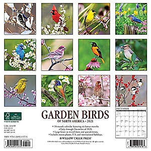 Garden Birds 2021 Wall Calendar