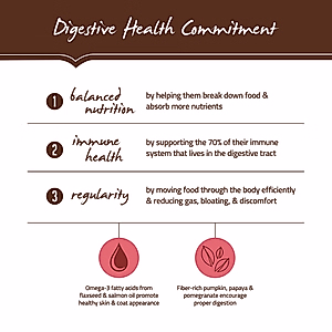 Holistic Select Natural Grain Free Dry Dog Food, Adult & Puppy Salmon, Anchovy & Sardine Recipe, 4-Pound Bag