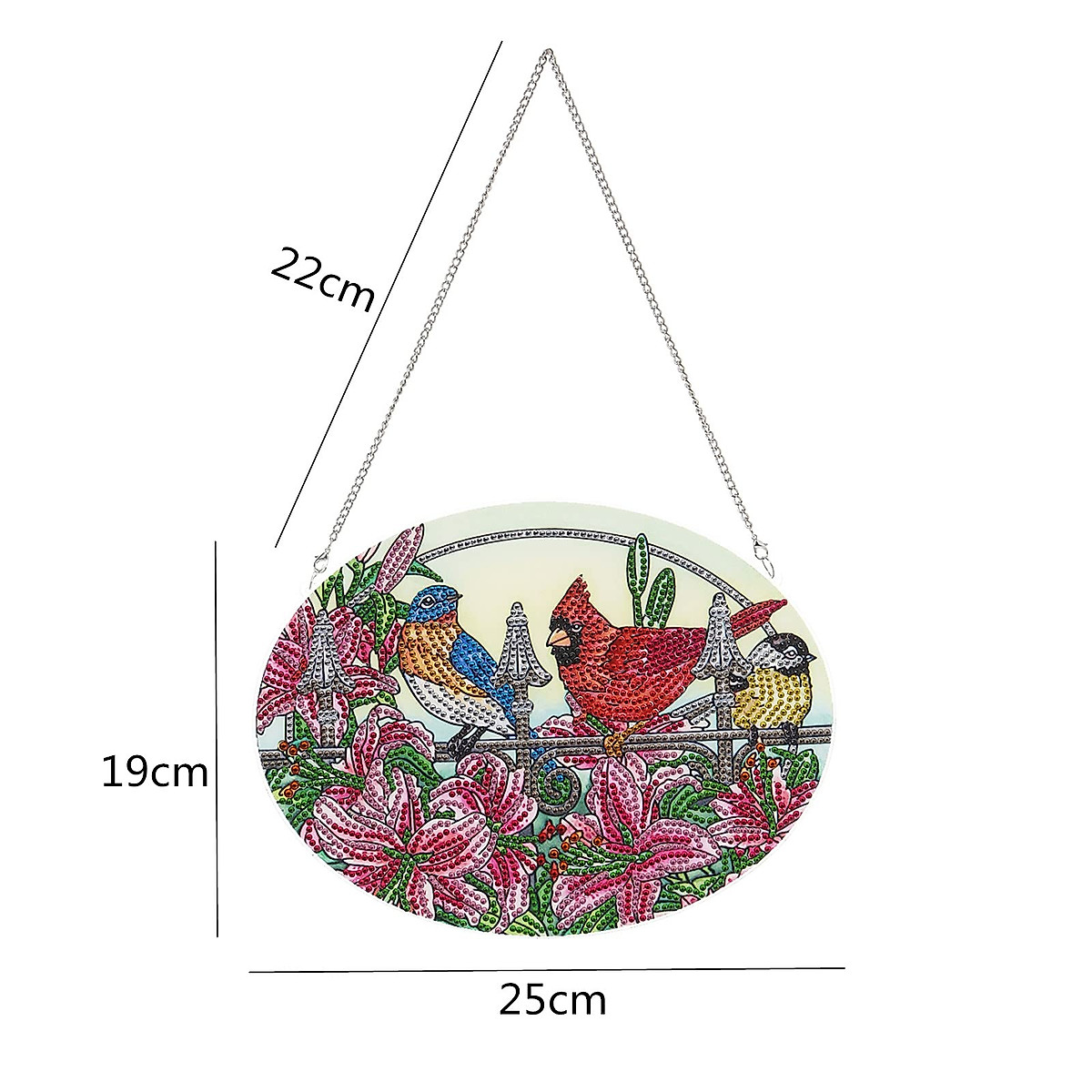 LYENYI DIY 5D Cardinal Bird Diamond Painting Kits Hanging Sign Wall Art Special Shaped Crystal Flowers Birds Window Pendants Home Garden Door Kits, Clear