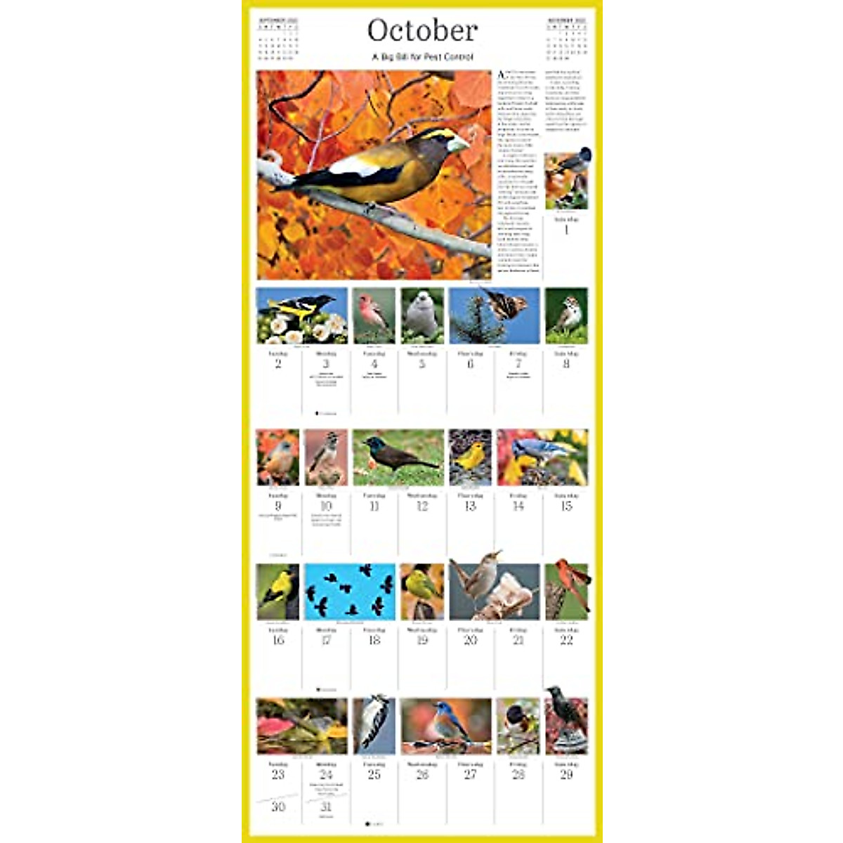 Audubon Songbirds and Other Backyard Birds Picture-A-Day Wall Calendar 2022: Your Daily Sighting of Songsters that Bring Color, Joy, and Sweet Melodies.