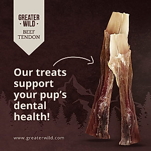 GREATER WILD All Natural Ingredient 9"-12" Assorted Beef Tendon Size, Chews & Treats for Dogs - 5 Piece