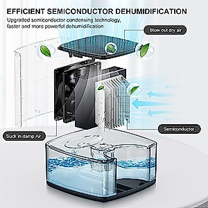 ToLife Dehumidifiers for Home 30 OZ Water Tank with Auto-Off, Portable Small Dehumidifier for Room,Bathroom,Bedroom,RV, Closet 500 sq.ft,7 Colors LED Light