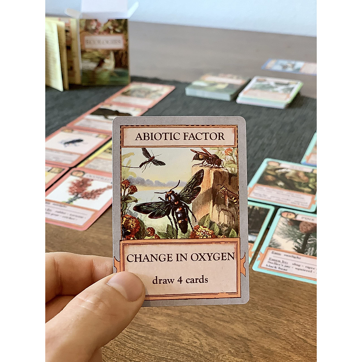 Montrose Biology Ecologies Card Game - Use Science to Build Food Webs in 7 Biomes - Beautiful Vintage Nature Art for The Classroom or Game Night