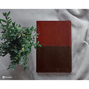 Santa Biblia NTV, Edición personal, letra grande, DuoTono (SentiPiel, Café/Café claro, Letra Roja) (Spanish Edition)