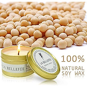 Candles for Home Scented, Soy Candles Christmas Candles Mothers Day Gifts Christmas Gifts Christmas Decoration, Scent of Seasalt & Sage, Lavender & Vanilla, Lemongrass & Bergamot, Mediterranean Amber