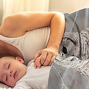 Singingin Ultra Soft Flannel Fleece Bed Blanket Cute White Owl Perch On Tree Branch Throw Blanket All Season Warm Fuzzy Light Weight Cozy Plush Blankets for Living Room/Bedroom 40 x 50 inches