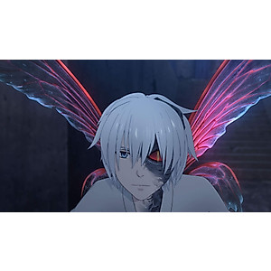 CAGASTER OF AN INSECT CAGE