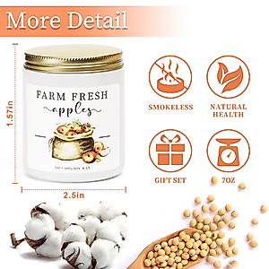 Thanksgiving Fall Scented Candles Set, 2 Pcs 7oz Pumpkin Spice and Apple Cider Candle, Thanksgiving Fall Candle Gifts for Women, Thanksgiving Table Centerpiece, Fall Decorations for Home