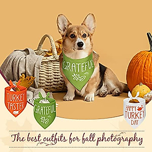 4 Pieces Thanksgiving Dog Bandanas Fall Autumn Dog Bandana Holiday Dog Bandana Dog Costume Bandanas for Dogs Reversible Triangle Bibs Scarf for Small Medium Large Dogs Pets (Medium)