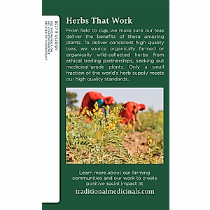 Traditional Medicinals Organic Fennel Herbal Tea, Promotes Digestive Health, (Pack of 2) 32 Tea Bags Total