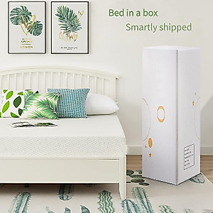 Hbaid Twin XL Mattress, 6 Inch Green Tea Cooling Gel Memory Foam Mattress in a Box Medium Firm Mattress for Bunk Bed, Trundle Bed, Pressure Relief, CertiPUR-US Certified