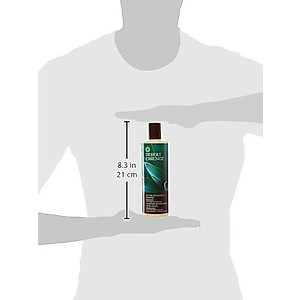 Desert Essence Tea Tree Daily Replenishing Shampoo, 12 Ounce - 6 per case.