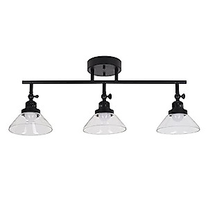 Catalina 23" Classic 3-Light Integrated LED Track Light with Adjustable Clear Glass Shades, Black