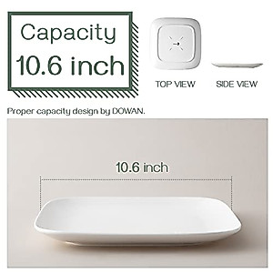 DOWAN 14.5" Rectangular Plates Set of 4 & 10.6" Square Dinner Plates Set of 6