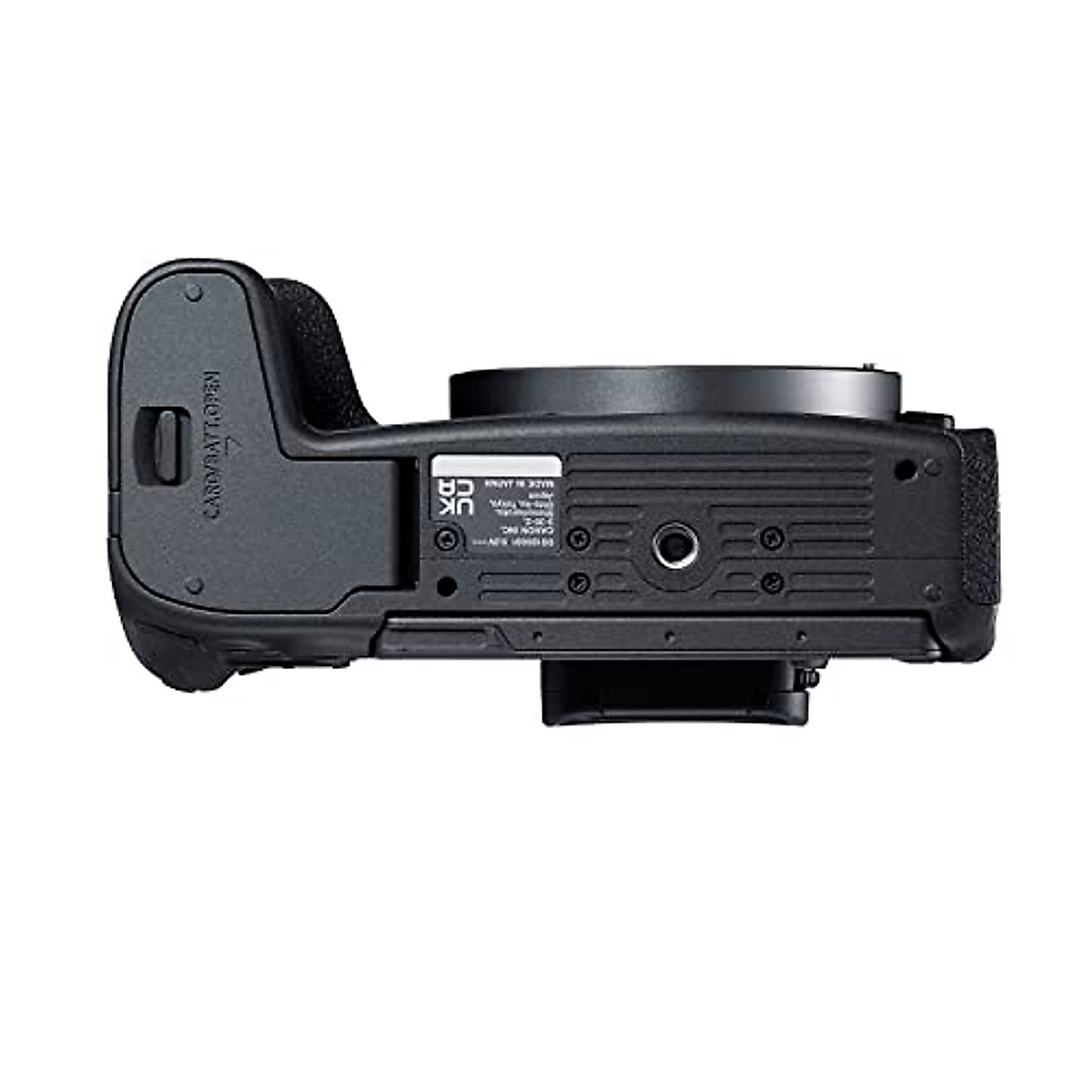 Canon EOS R8 Full-Frame Mirrorless Camera (Body Only), RF Mount, 24.2 MP, 4K Video, DIGIC X Image Processor, Subject Detection & Tracking, Compact, Lightweight, Smartphone Connection, Content Creator