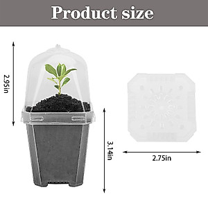 EBaokuup 30PCS Clear Plant Nursery Pots with Humidity Dome - 3" Durable Plastic Gardening Pot with Labels, Small Plant Container for Seedlings/Vegetables/Succulents/Cuttings