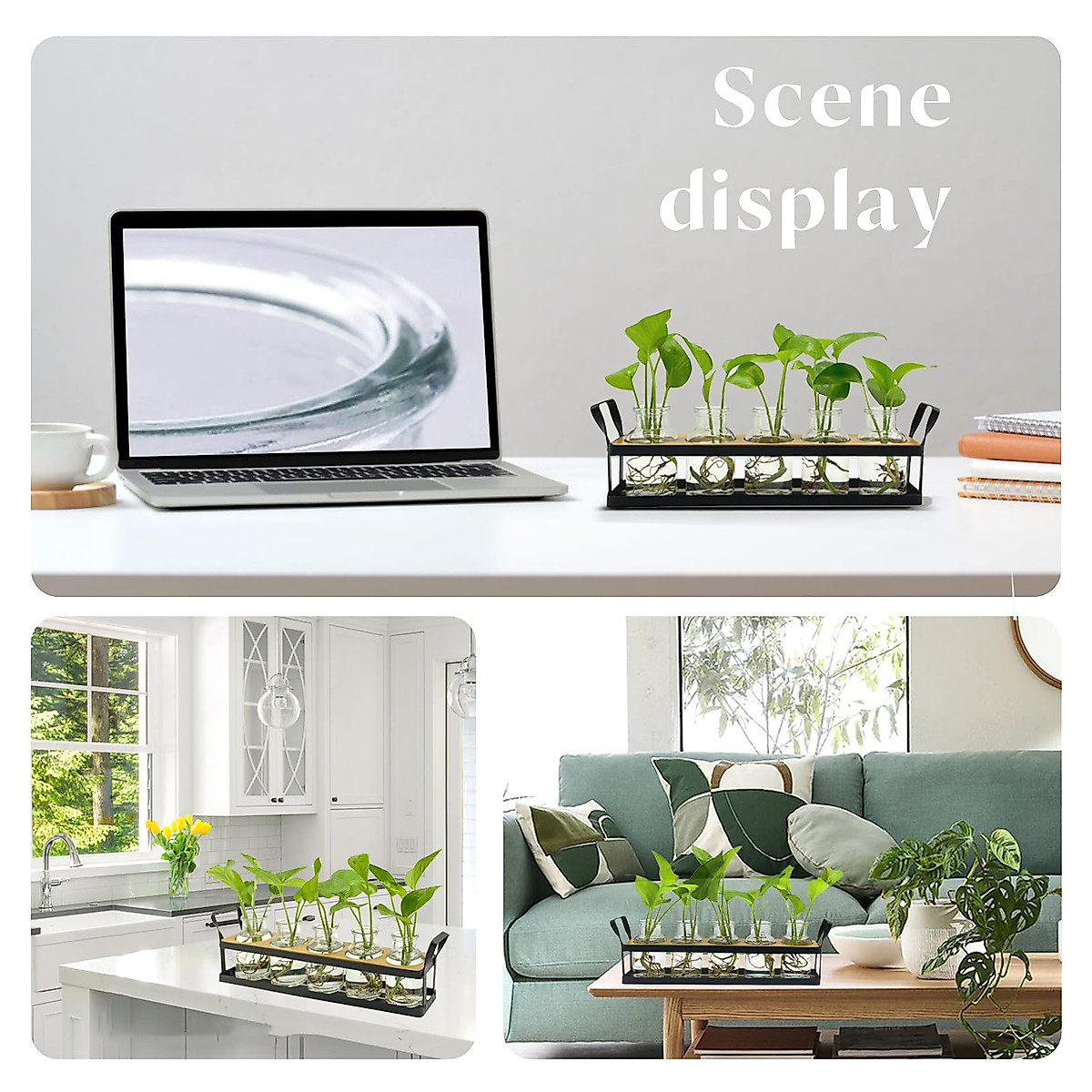 Quuavio Plant Propagation Stations with Metal Stand, Desktop Plant Terrarium with 5 Air Propogation Jars, Flower Glass Vasefor Hydroponic, Home Garden Window Office Decor, Plants Gifts