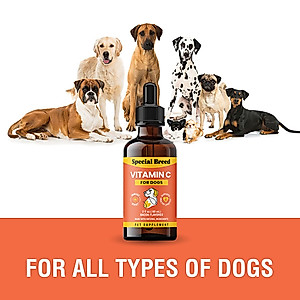 Vitamin C for Dogs, Helps Support Immune System, Vitamin C Liquid Supplement, Dog Immune Booster, Bacon Flavored, 2oz