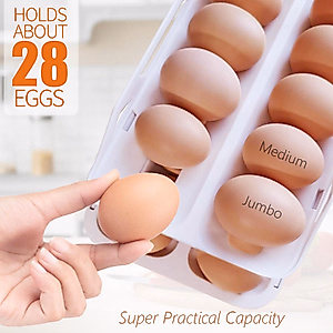 TUSGENK Egg Holder for Fridge, Automatic Rolling Egg Organizer Storage for Refrigerator, 2 Rows Space-Saving Eggs Dispenser, Large Capacity 28 Eggs Container & Tray for Kitchen (2 Layer,White)