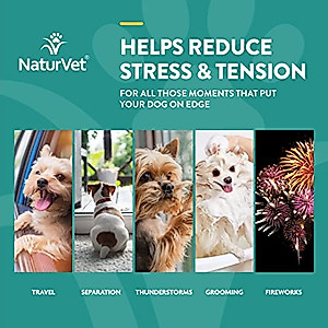 NaturVet Quiet Moments Calming Aid Dog Supplement – Helps Promote Relaxation, Reduce Stress, Storm Anxiety, Motion Sickness for Dogs – Tasty Pet Soft Chews with Melatonin – 70 Ct.