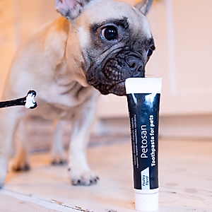 Petosan Puppy and Toy Breed Dental Kit for Dogs with Toothbrush and Toothpaste for Pets