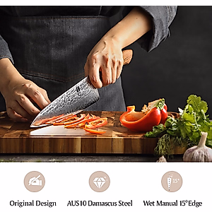 XINZUO 8.3 Inch 67 Layers Damascus Steel Chef Knife, Hand Forged Japanese AUS-10 Steel Gyuto Chef Knife,Walnut Black Walnut Handle,Full Tang, Razor Sharp,Exquisite Box Package