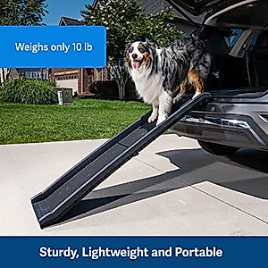 PetSafe Happy Ride Folding Dog Ramp for Cars, Trucks, & SUVs - 62 Inch Portable Pet Ramp for Large Dogs with Siderails, Non-Slip - Weighs Only 10 lb, Supports up to 150 lb, Easy Storage, Folds in Half